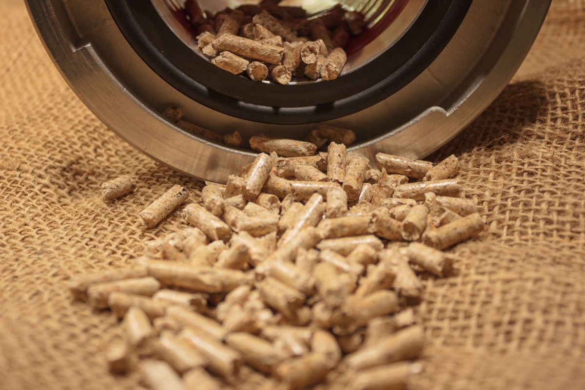 Qu’est qu’un pellet Din Plus : certification et avantages